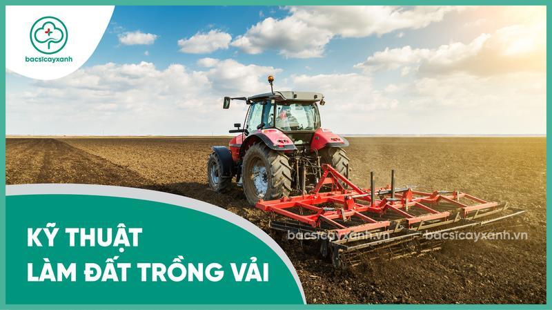 Hướng dẫn kỹ thuật làm đất trồng vải