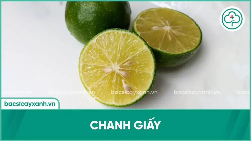 Kỹ thuật chọn giống chanh năng suất cao