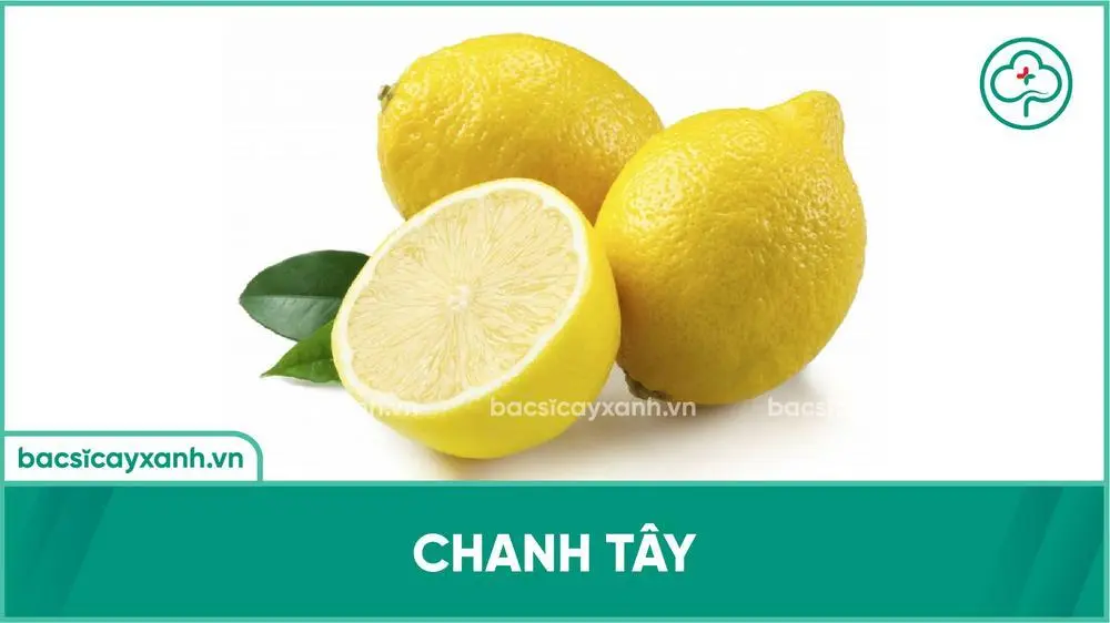 Kỹ thuật chọn giống chanh năng suất cao
