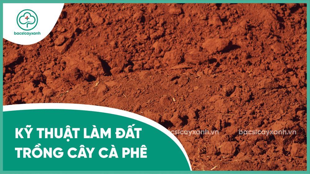 Hướng dẫn một số kỹ thuật làm đất trồng cà phê
