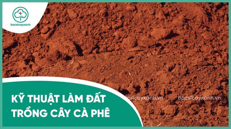 Hướng dẫn một số kỹ thuật làm đất trồng cà phê